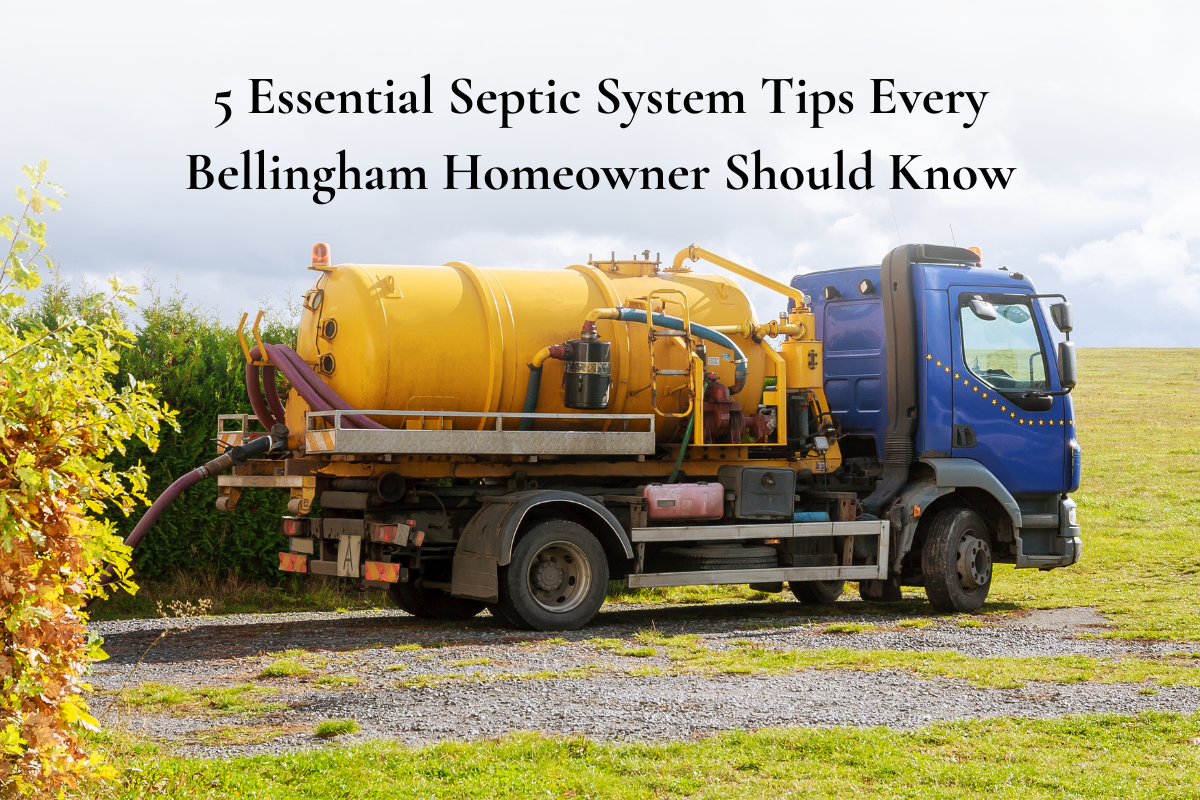 5 Essential Septic System Tips Every Bellingham Homeowner Should Know ...